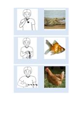 A Time To Sign: An Introduction To Auslan > Animals (19 Signs) > Theory ...