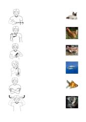 A Time To Sign: An Introduction To Auslan > Animals (19 Signs) > Theory ...
