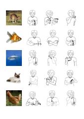 A Time To Sign: An Introduction To Auslan > Animals (19 Signs) > Theory ...